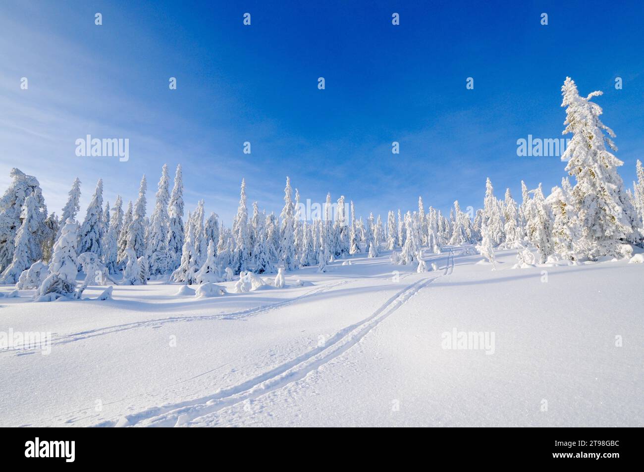 Powder blue sky hi-res stock photography and images - Alamy