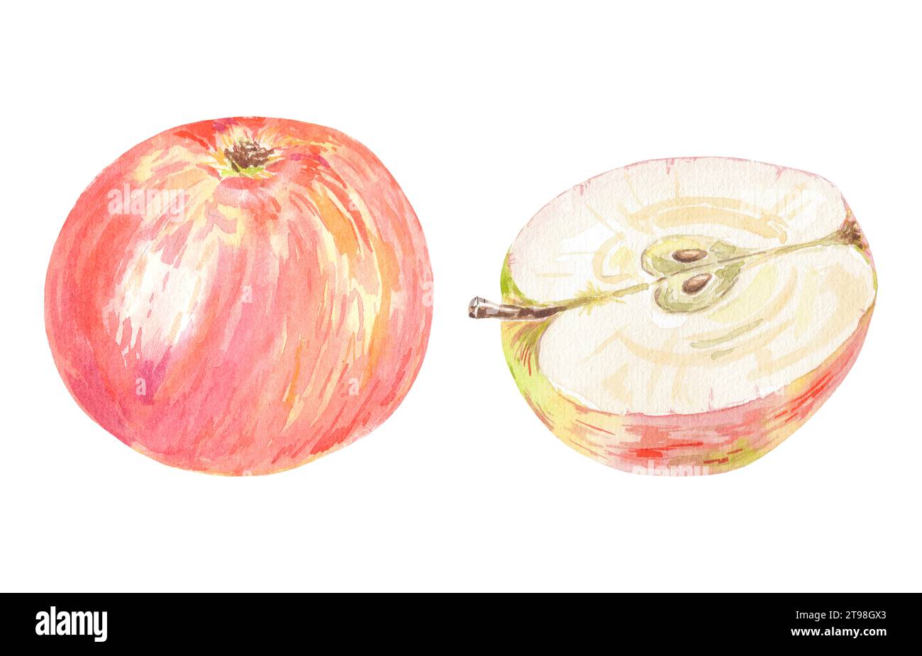 Clipart hand painted red apples and green leaves. Watercolor botanical ...