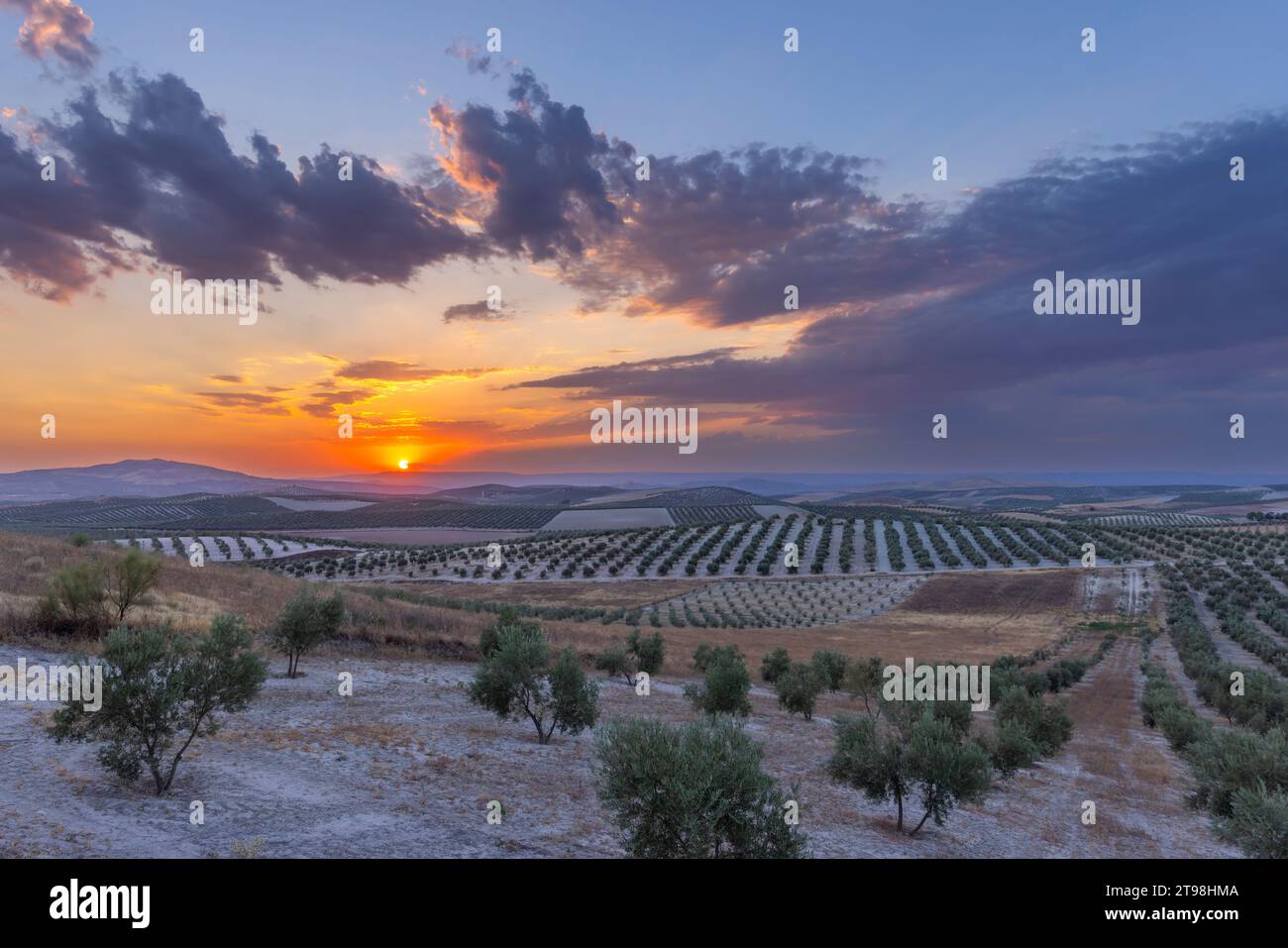 typical Andalusian landscape during sunset, Spain Stock Photo - Alamy