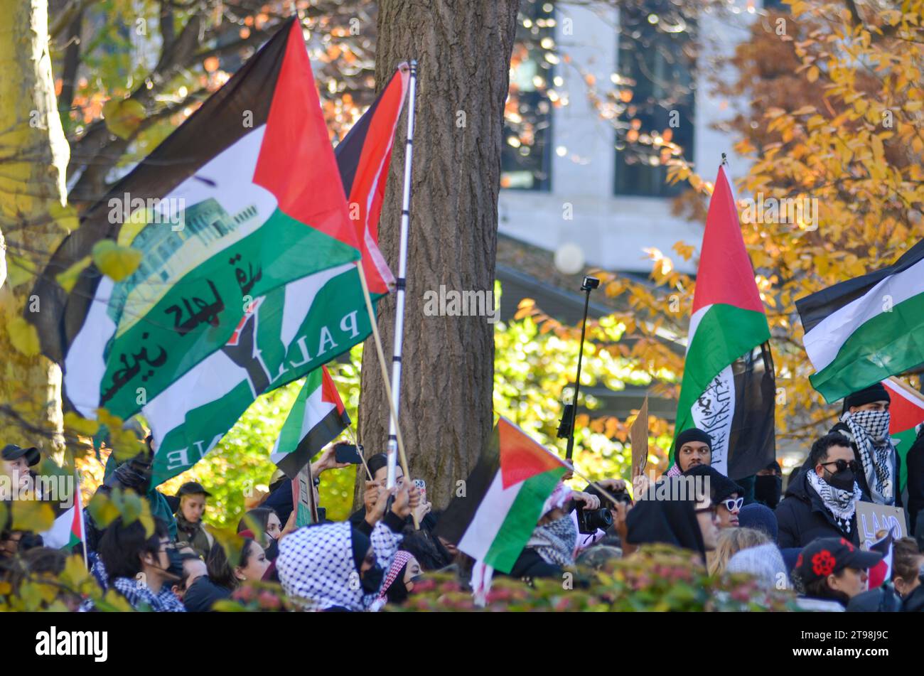 Palestine state flag colors hi-res stock photography and images - Alamy