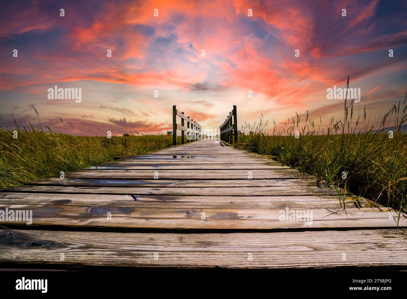wooden bridge in the salt marshes on the north sea in the sunset Stock ...