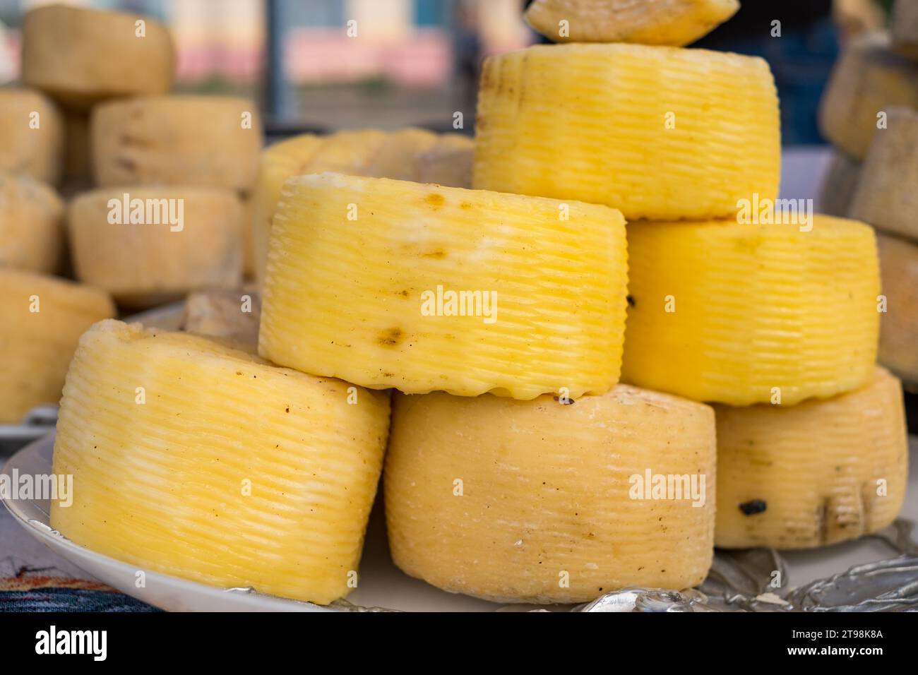 Homemade organic farm cheese at the street food fair Stock Photo - Alamy