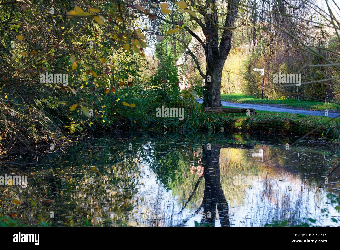 Autumn in England Leafy fall Stock Photo - Alamy