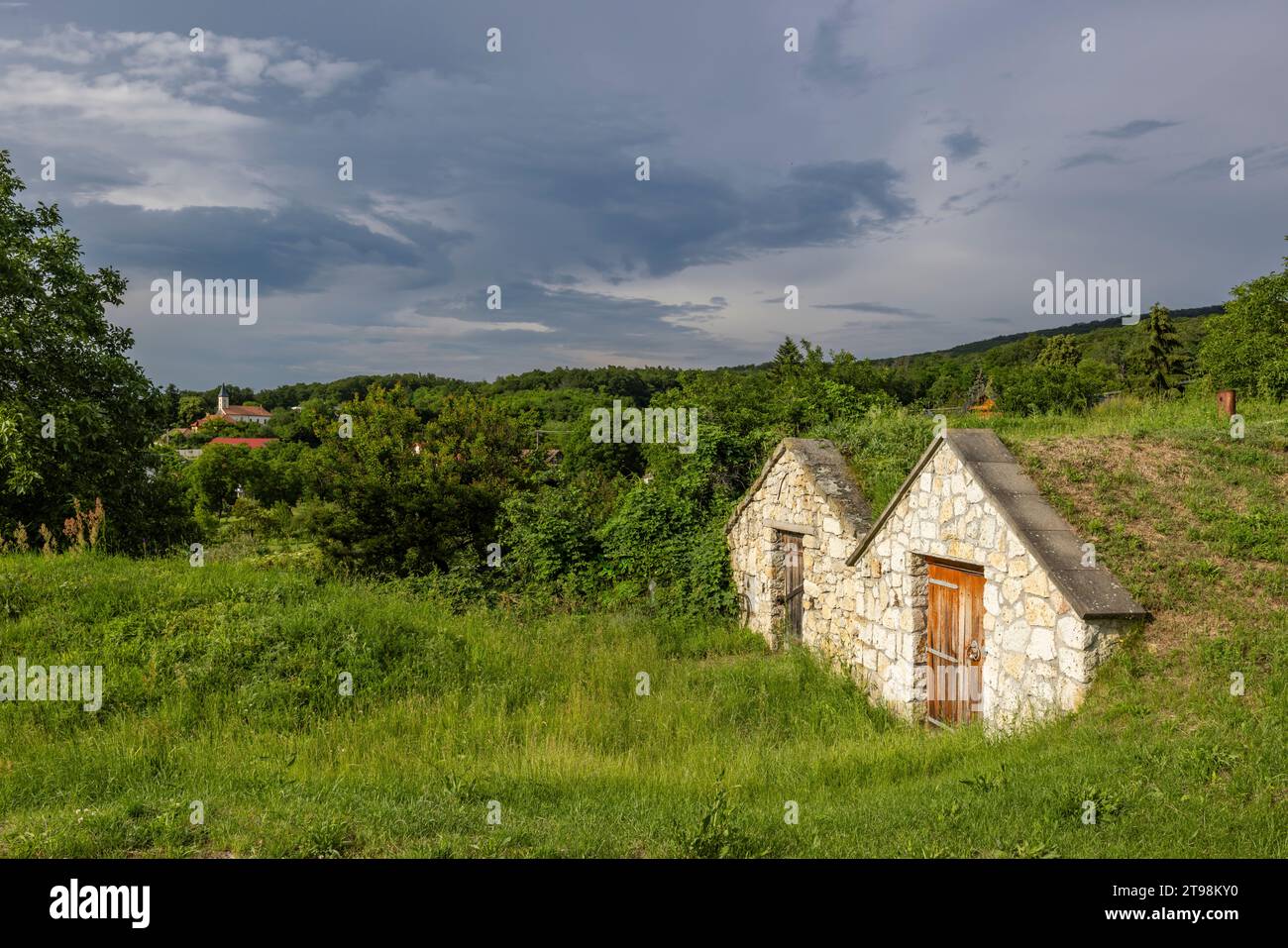 Wine cellar (Tufove pivnice), Velka Trna, Kosice country, Zemplin ...