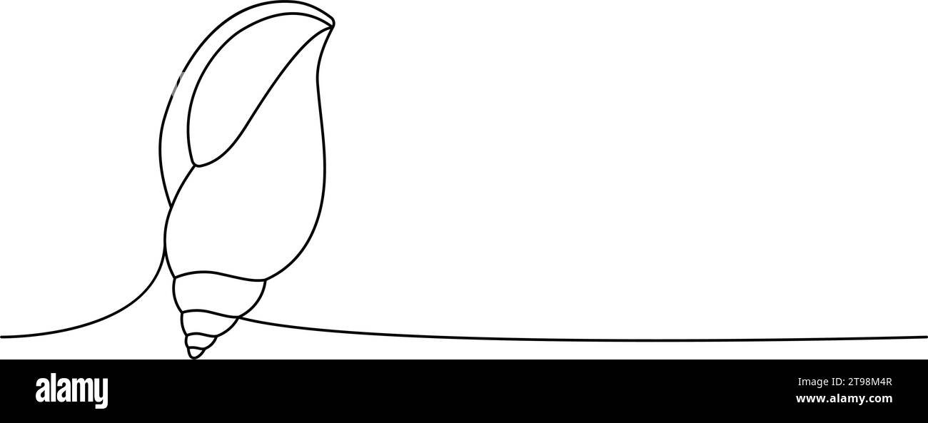 Seashell one line continuous drawing. Tropical underwater shell ...