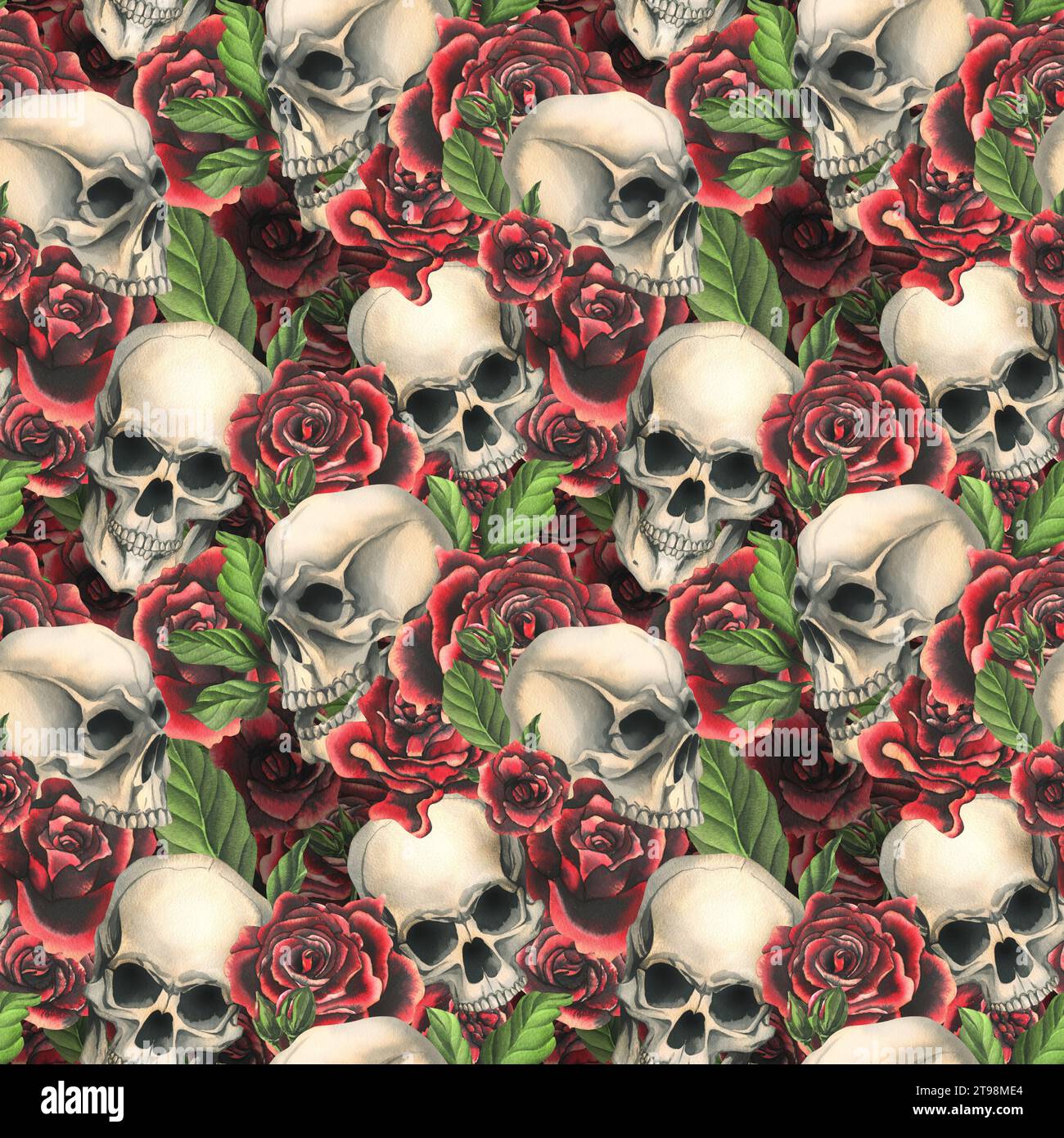 Human skulls with red roses and leaves. Hand drawn watercolor ...