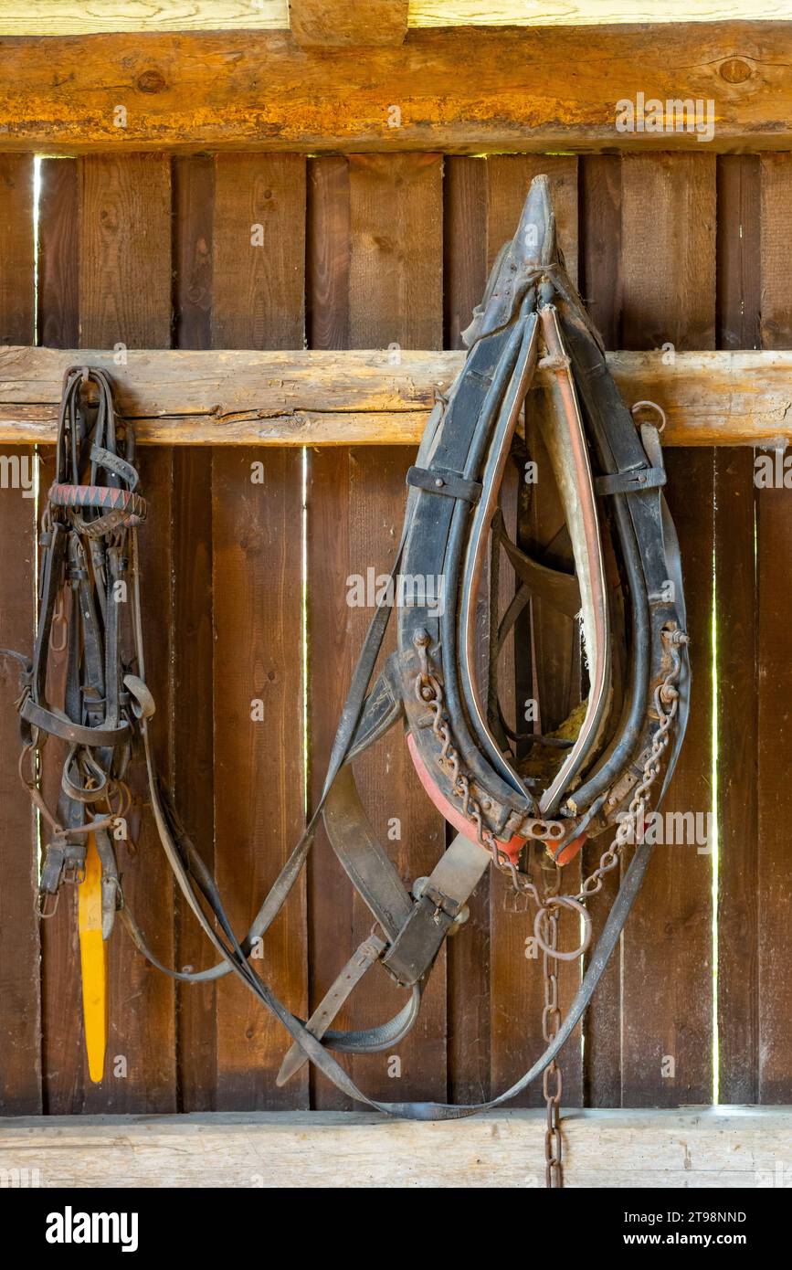 Old country farm, Moravska Nova Ves, Southern Moravia, Czech Republic ...