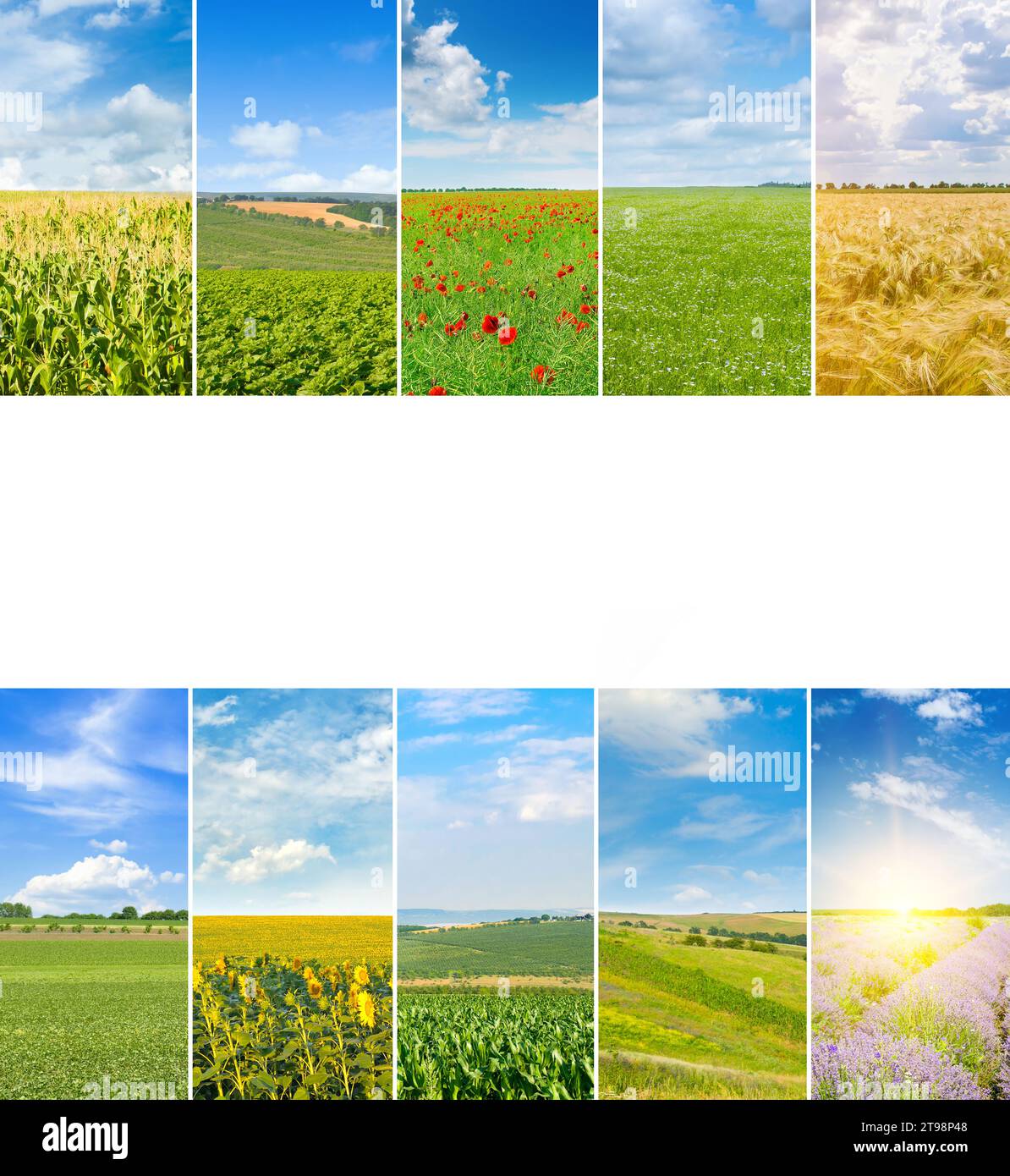 Agricultural collage hi-res stock photography and images - Alamy