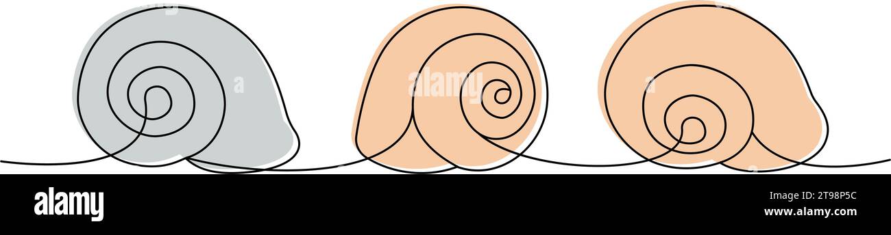 Underwater shells. Sea shells, mollusks, scallop, pearls. Tropical ...