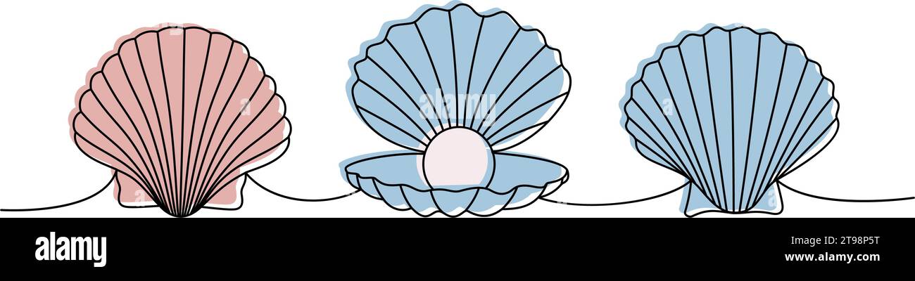 Pearl shells. Sea shells, mollusks, scallop, pearls. Tropical ...