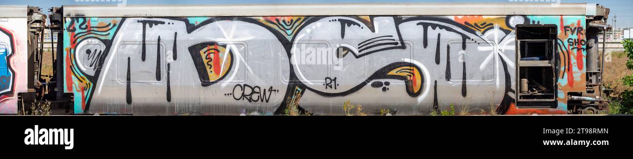 Vandalized train carriages with paintings without artistic expression ...