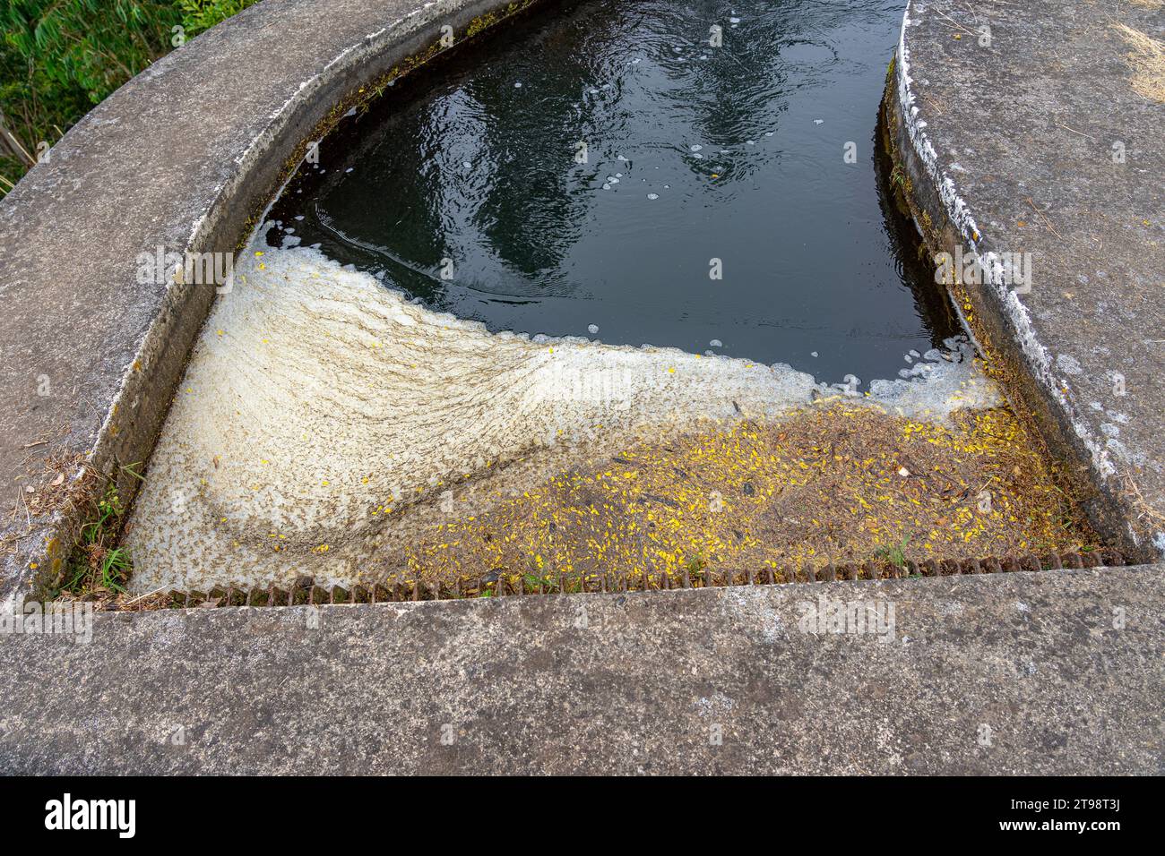 Detail of the end of the irrigated waterway with accumulation of foam ...