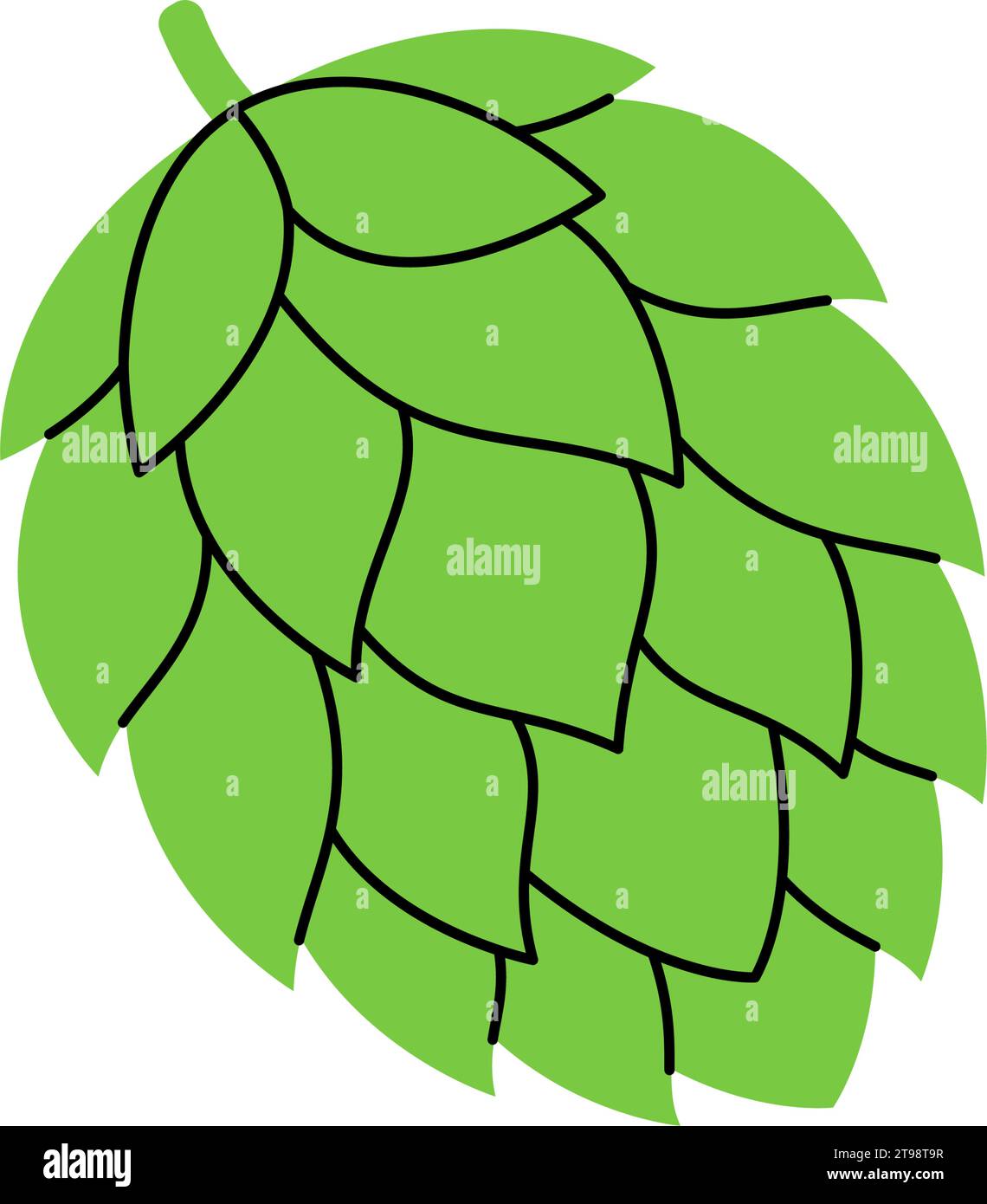 Hop cone. Beer pub product. Brewing process, brewery factory production ...