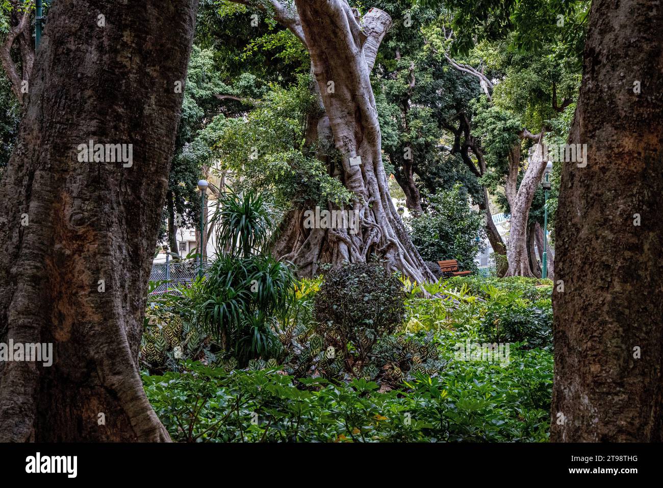 An outdoor landscape featuring a vast array of trees, shrubs, and ...