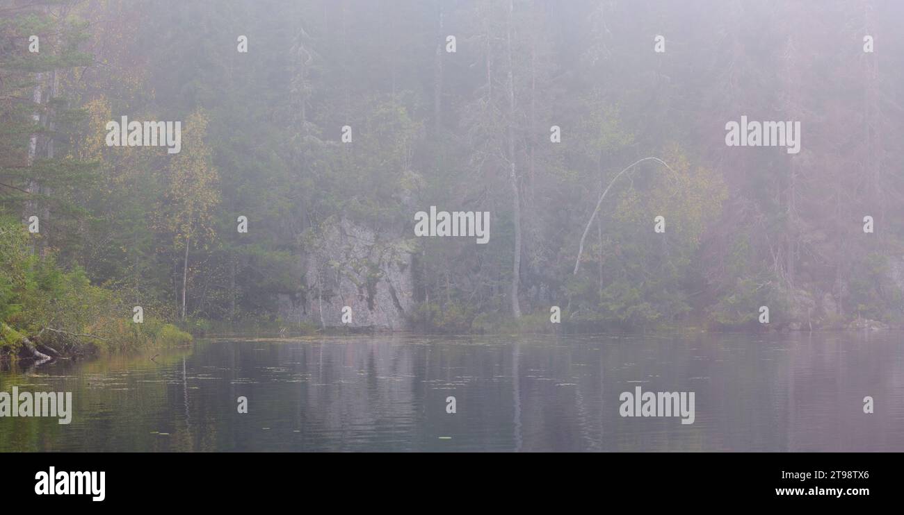 Autumn mood with misty weather at a lake with a large rock and fall ...