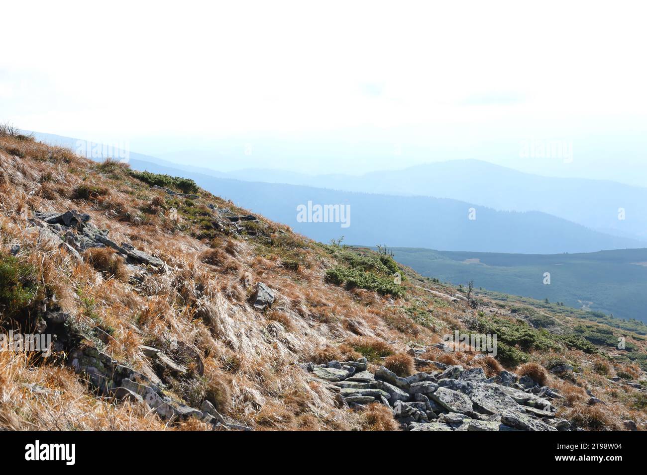 Landscape with Mount Hoverla hanging peak of the Ukrainian Carpathians ...