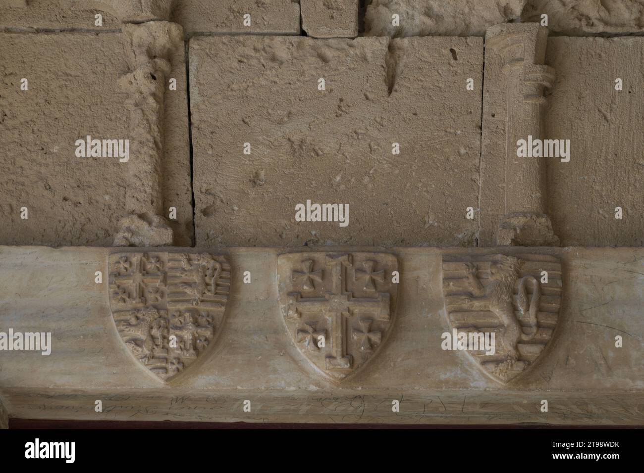 The details of the cypriotic line of the Lusignan family, the (lost ...