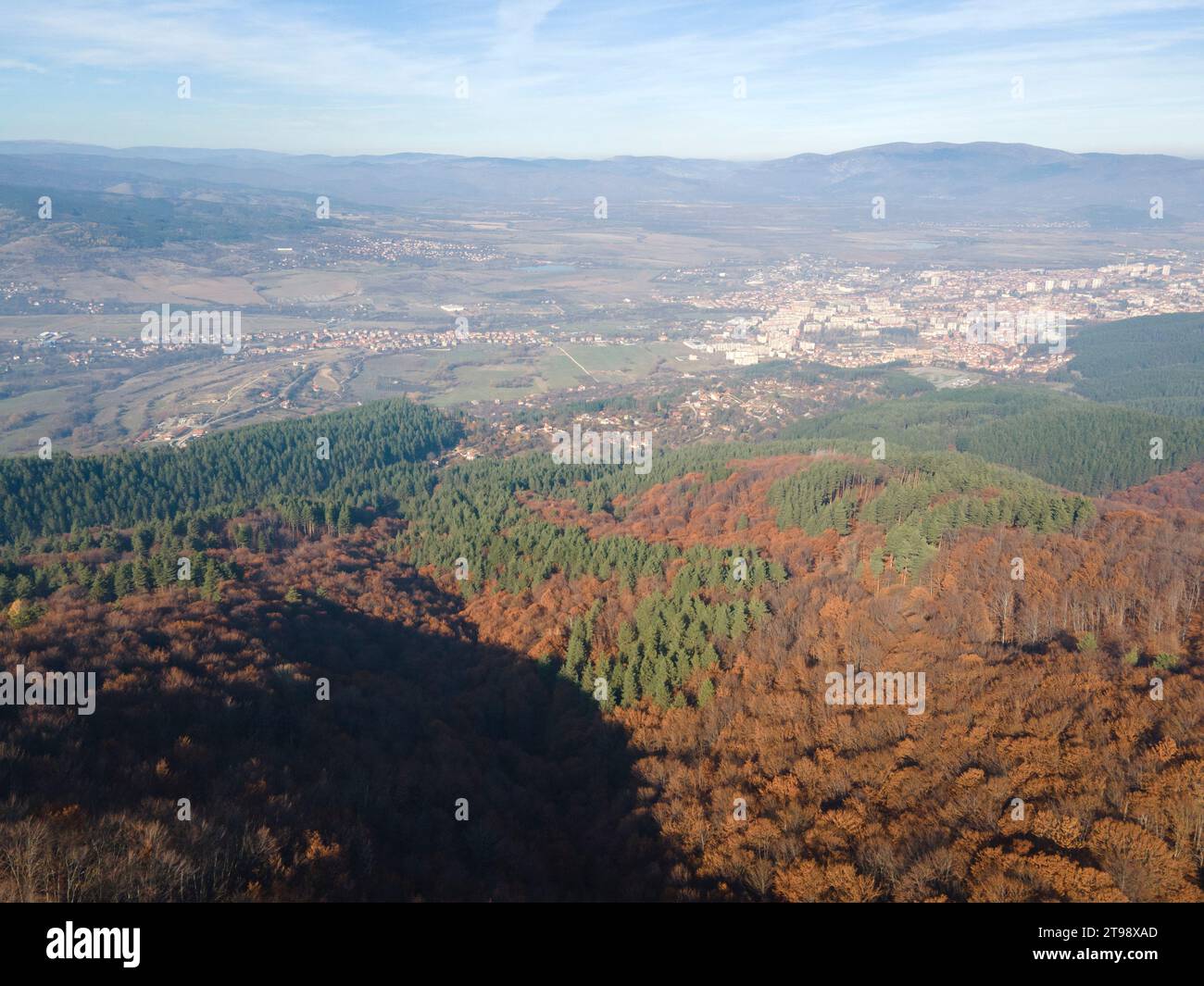 Aerial view of Old Sequoia forest near village of Bogoslov, Kyustendil ...