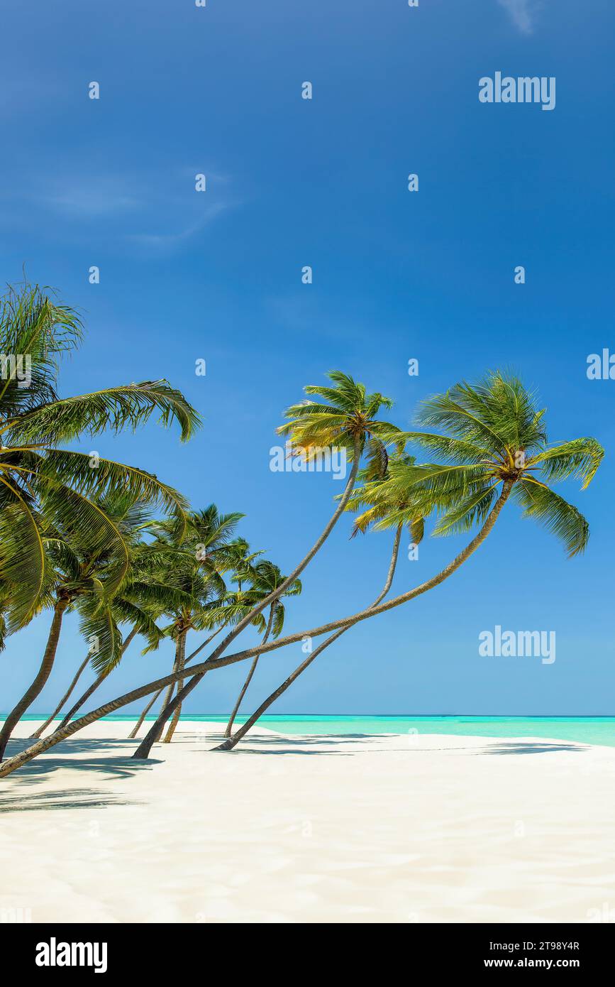 Tree scenics hi-res stock photography and images - Alamy