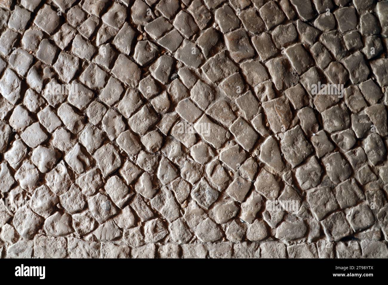 Paving stone pavement background texture. Cobblestone pave top view of old stony sidewalk close ...
