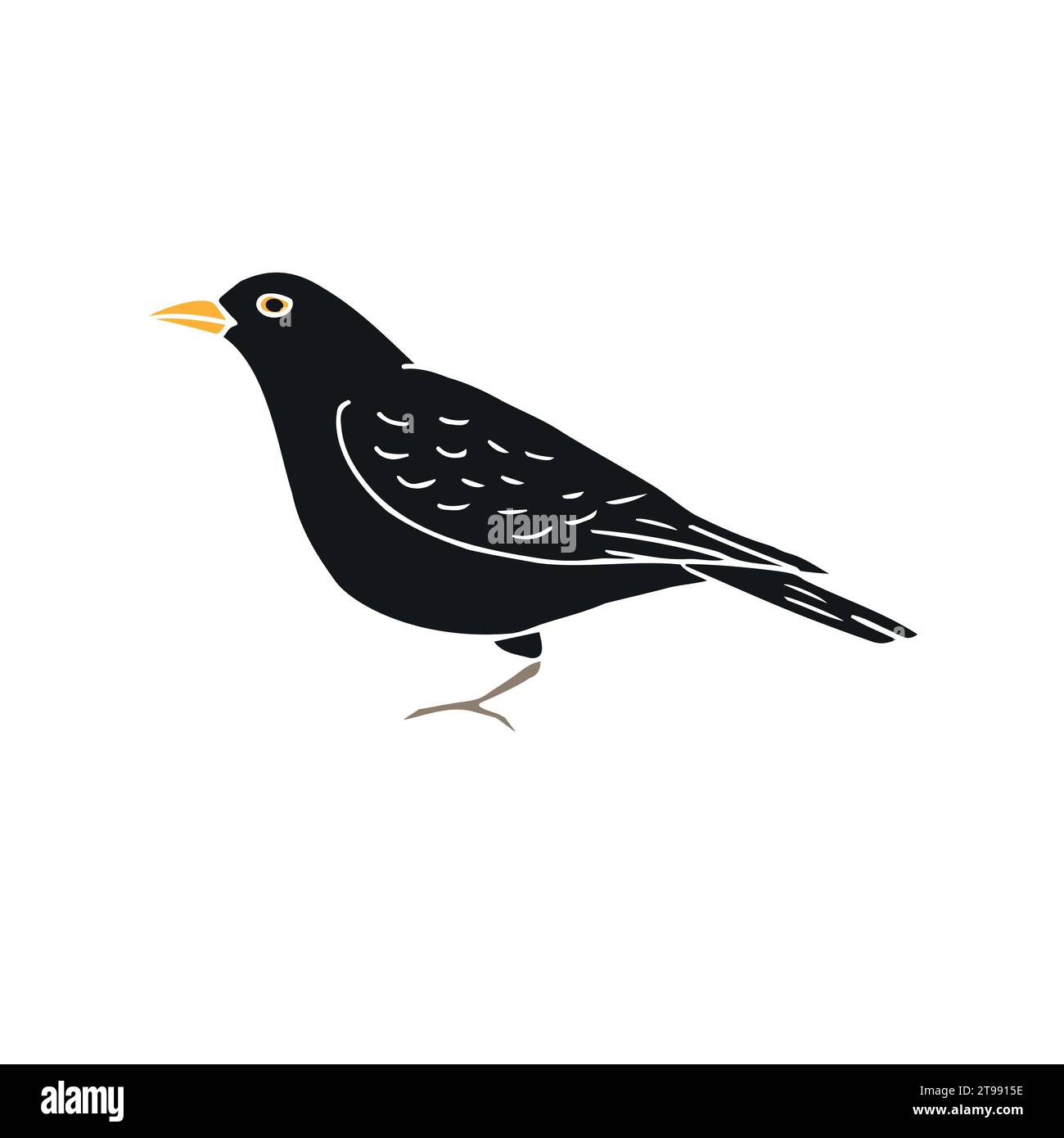 Vector hand drawn doodle sketch black catbird bird isolated on white background Stock Vector ...