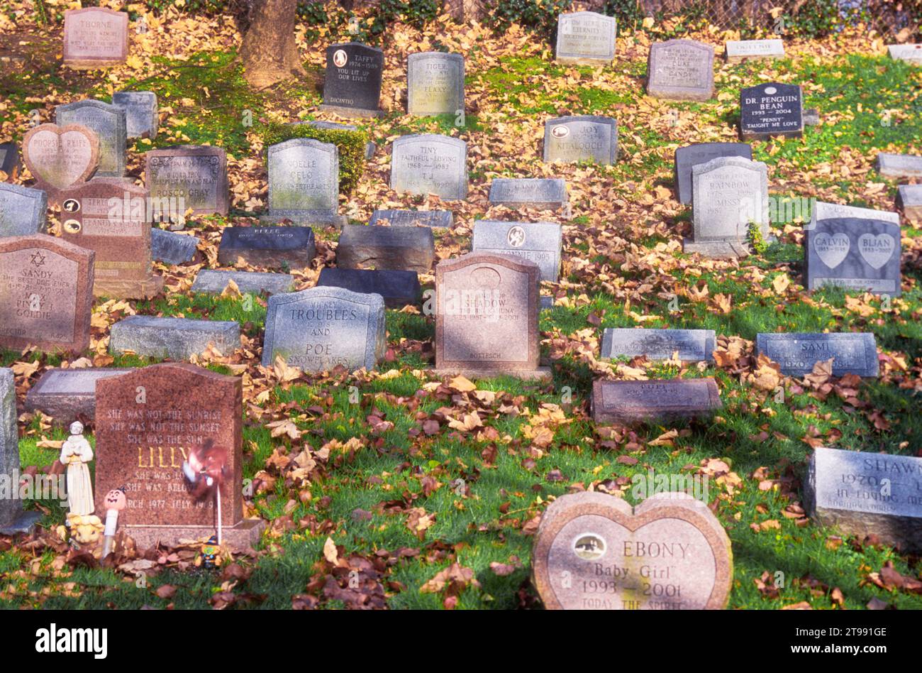 Animal cemetery pet hi-res stock photography and images - Alamy