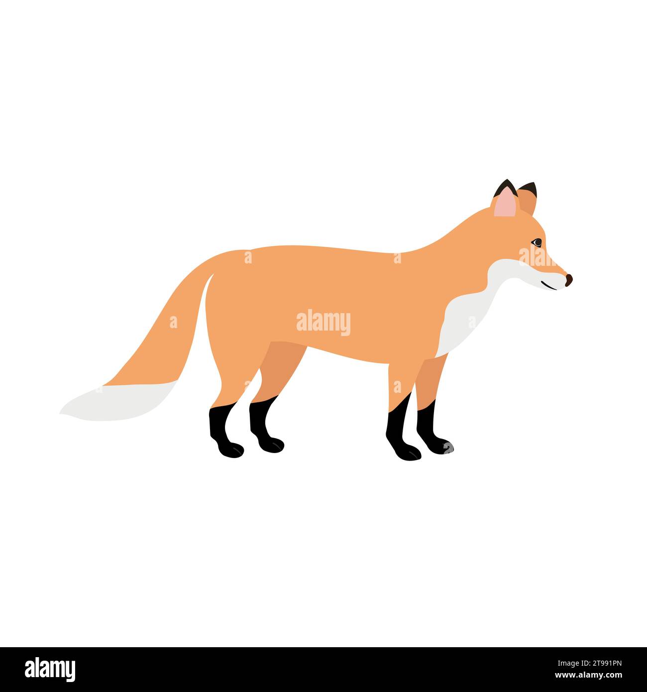Vector flat hand drawn fox isolated on white background Stock Vector ...