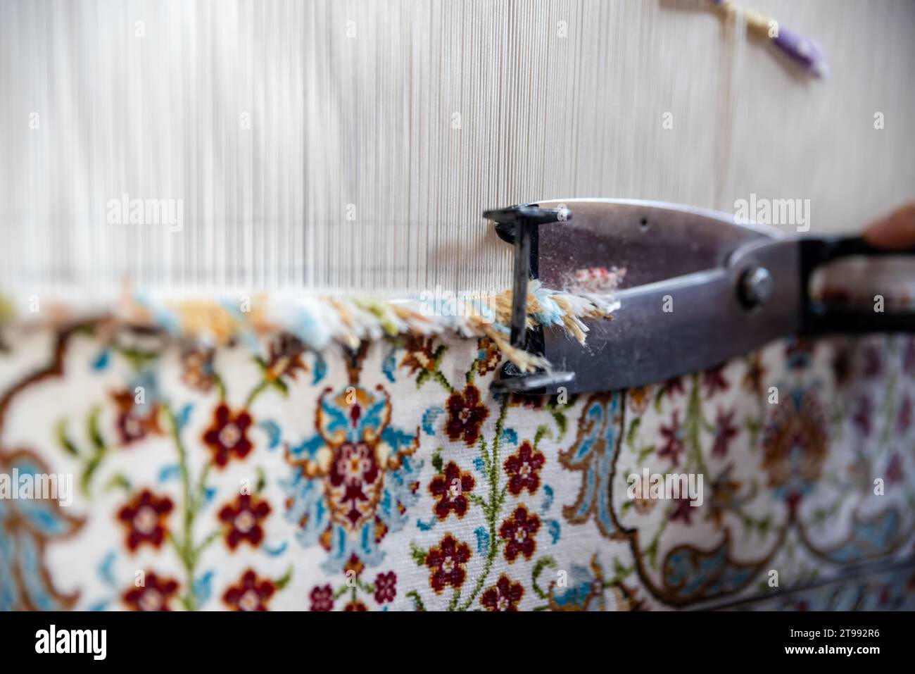 weaving carpet ,a diligent woman makes a traditional carpet by hand ...