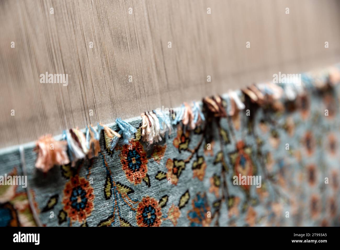 weaving carpet ,a diligent woman makes a traditional carpet by hand ...