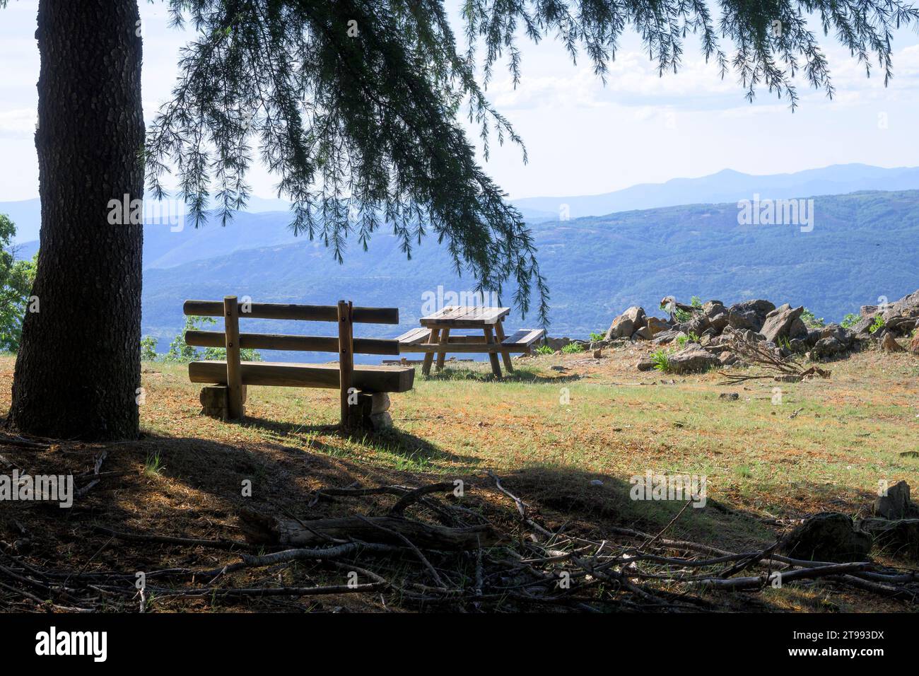 Wooden bench and table in nature between trees in the sun horizontally ...