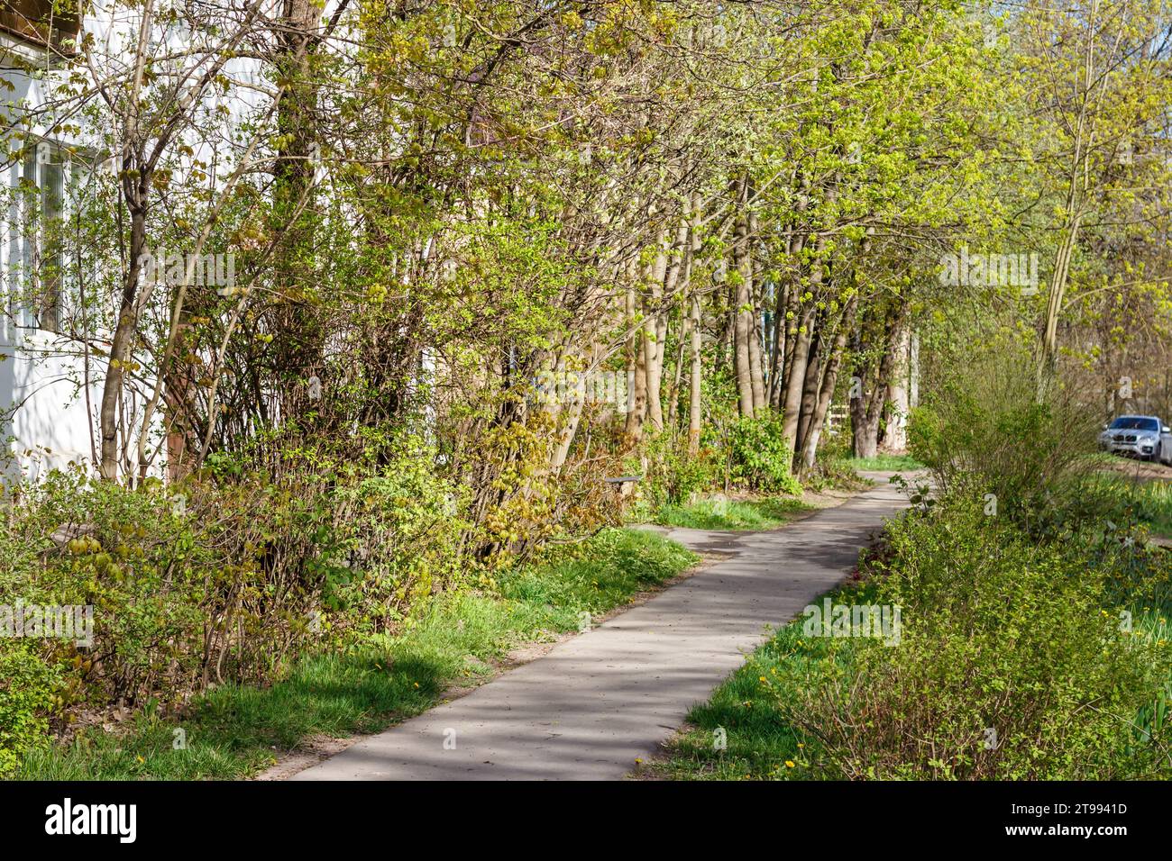 A pedestrian path running along the cozy city streets of a residential ...