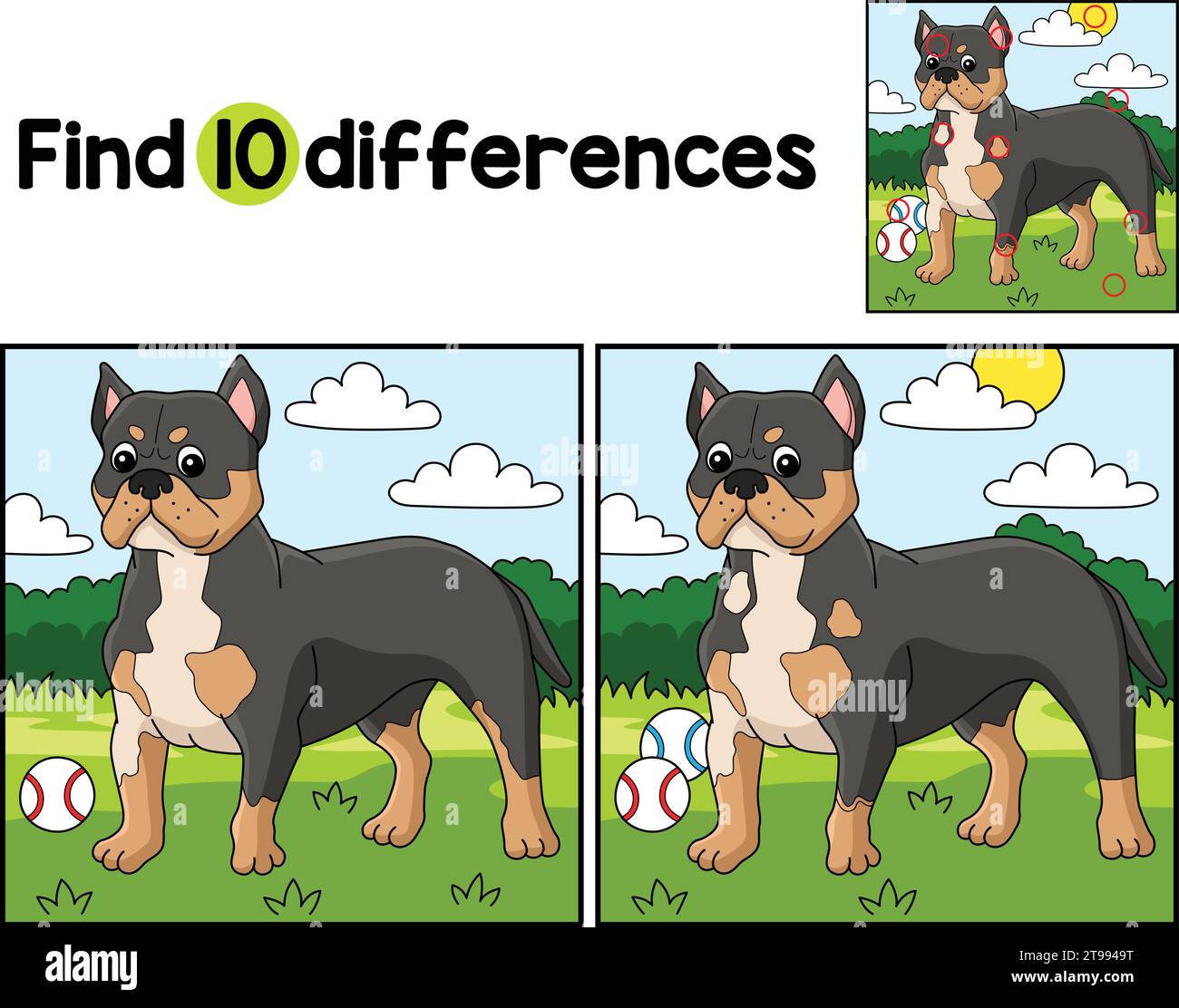 American Bully Dog Find The Differences Stock Vector Image & Art - Alamy