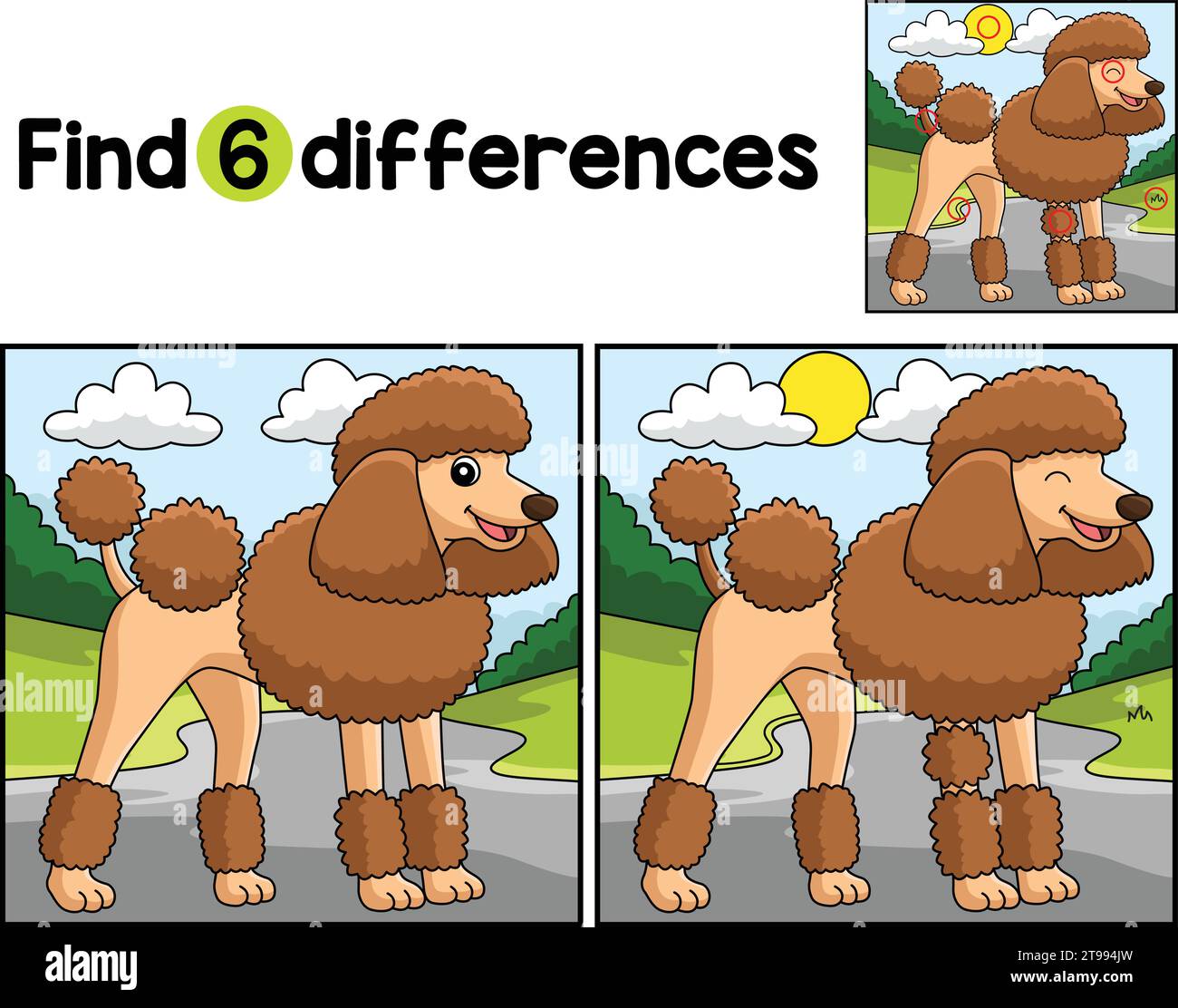 Poodle Dog Find The Differences Stock Vector Image & Art - Alamy