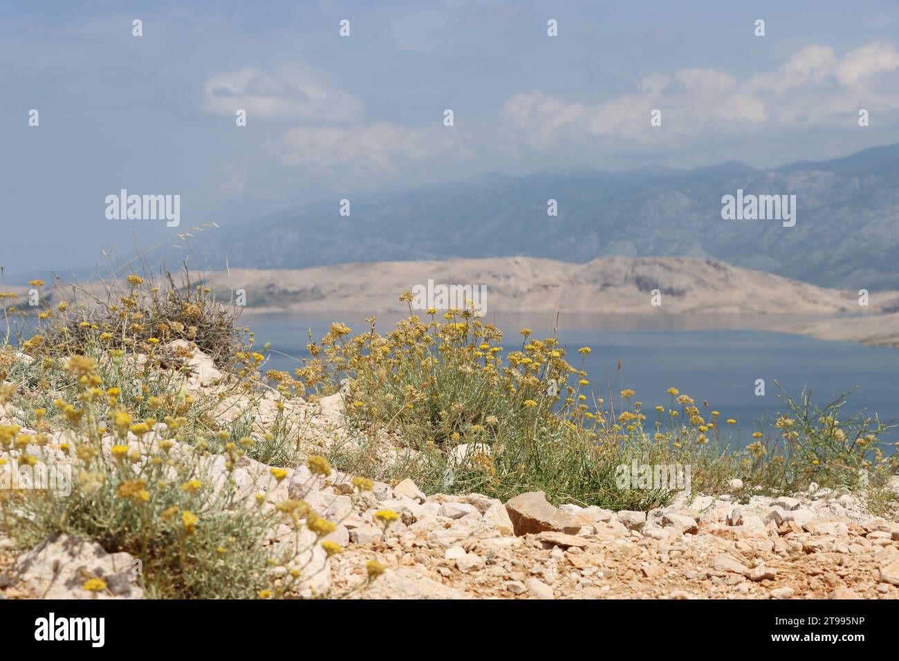 landscape in Croatia Stock Photo - Alamy