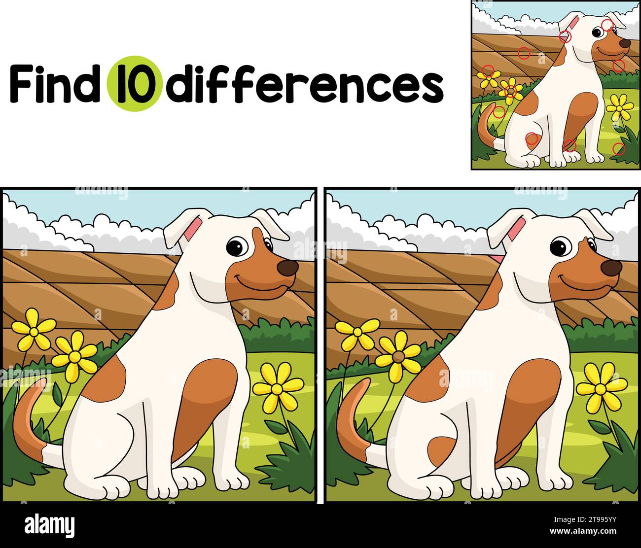 Jack Russell Terrier Dog Find The Differences Stock Vector Image & Art ...