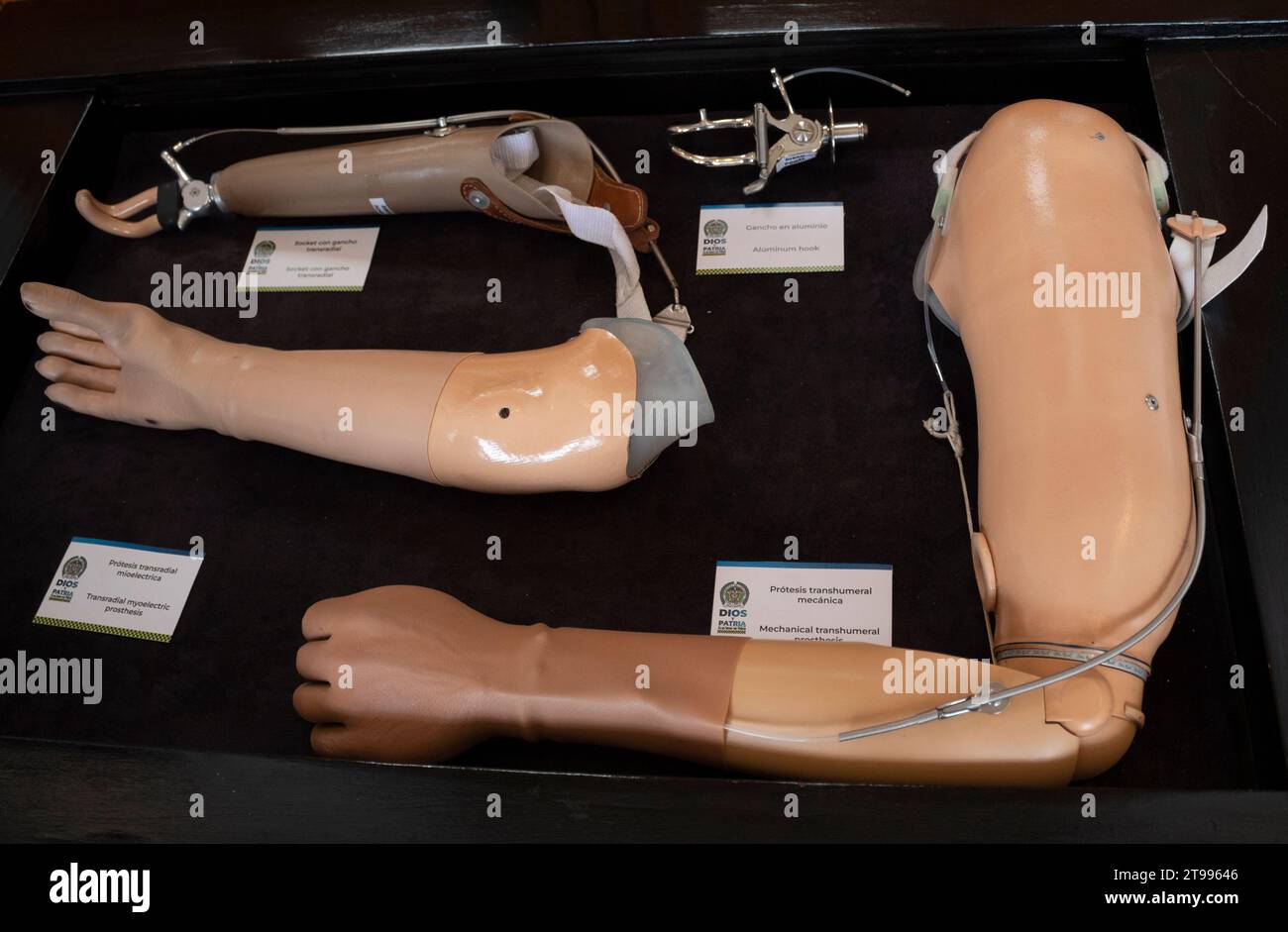 Arm phrostesis at colombian police museum Stock Photo - Alamy