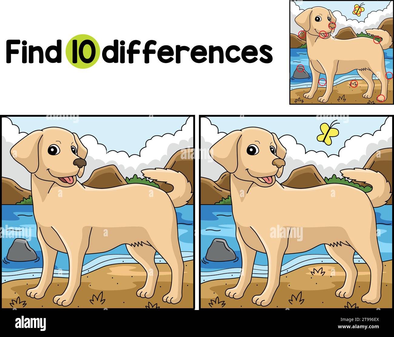 Labrador Retriever Dog Find The Differences Stock Vector Image & Art ...