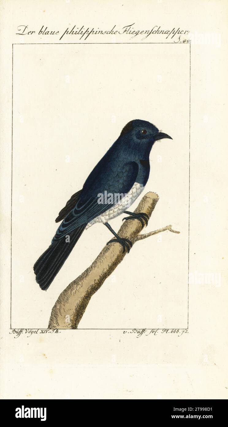 Planche 666 hi-res stock photography and images - Alamy