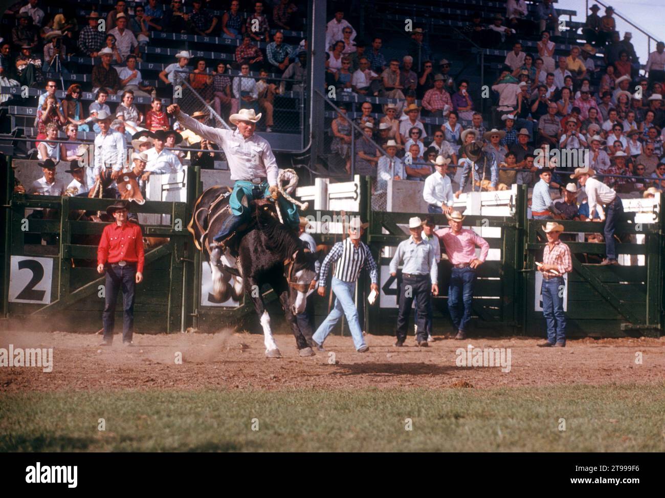 EUGENE, OR - SEPTEMBER, 1958: An unidentified man rides a bronco in ...