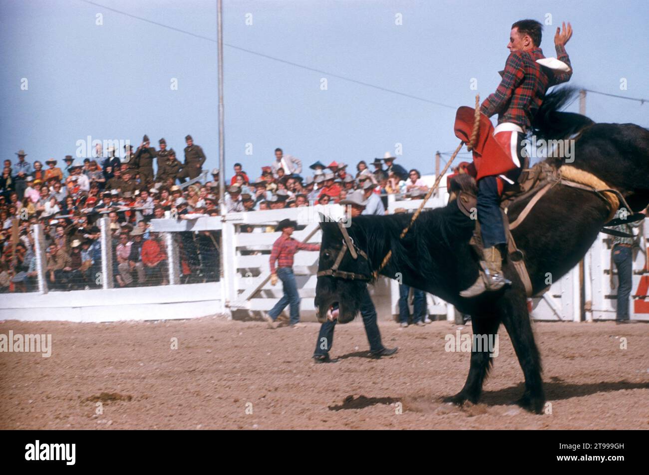 SALINAS, CA - JULY 15: An unidentified man rides his bronco as ...