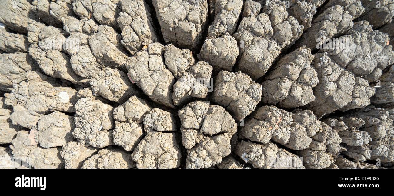 formations of rocky appearance caused by extreme drought of a lake ...