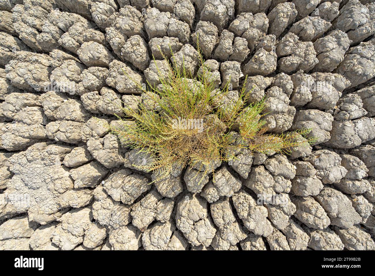 formations of rocky appearance caused by extreme drought of a lake. Dry ...