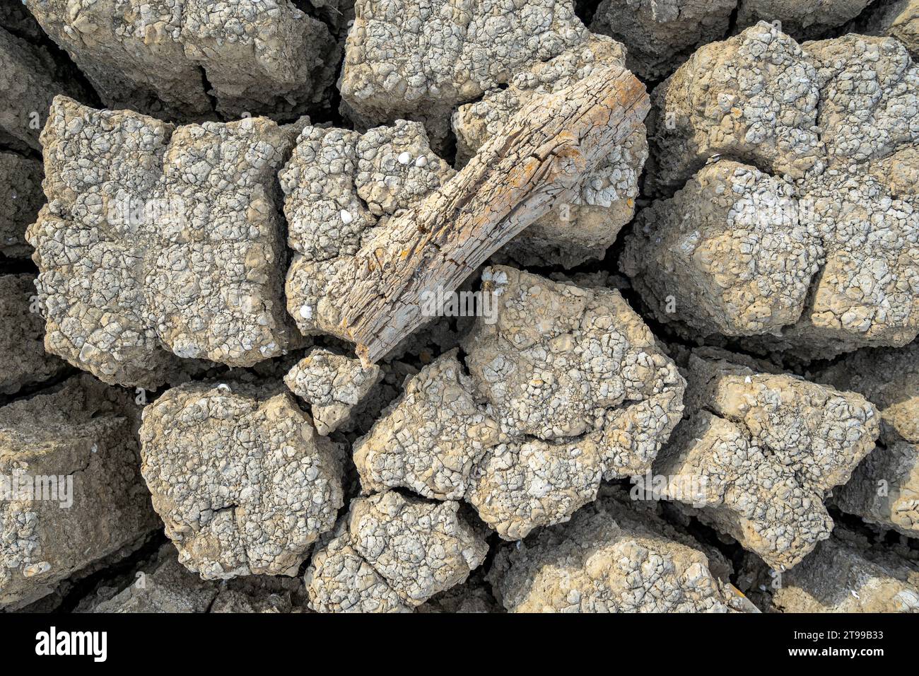 formations of rocky appearance caused by extreme drought of a lake. Dry ...