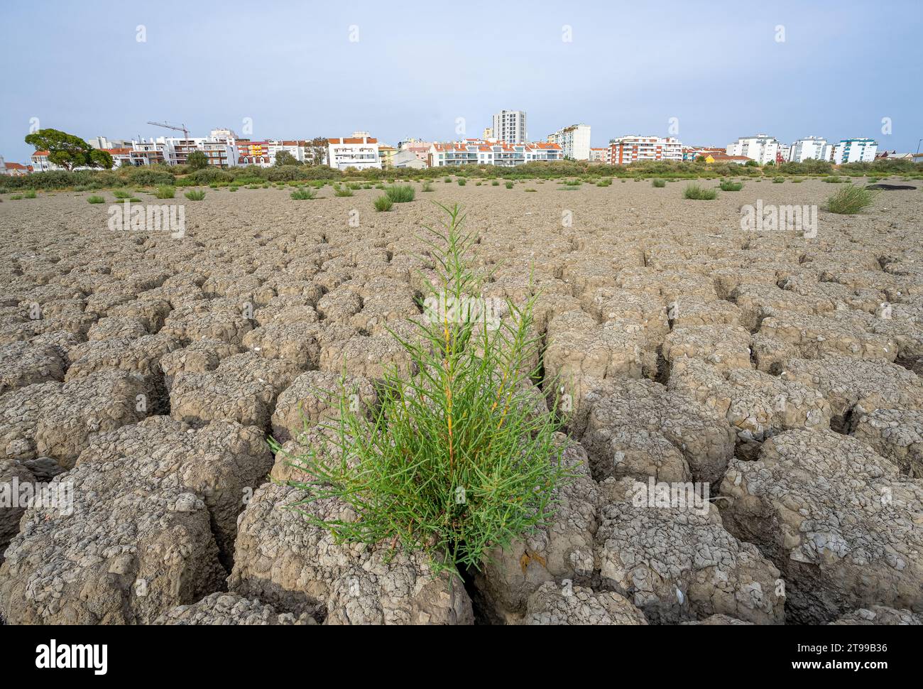 formations of rocky appearance caused by extreme drought of a lake. Dry ...