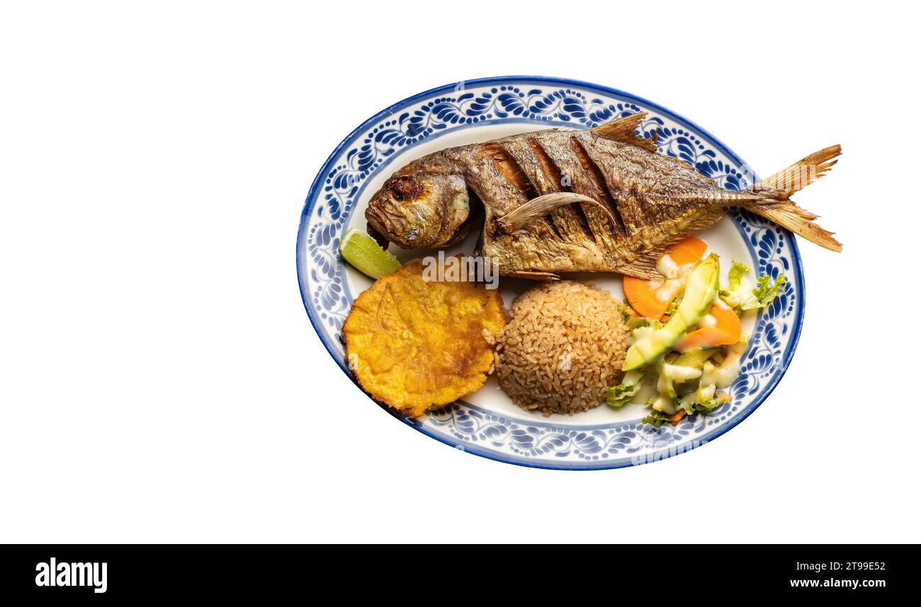 Served dish of fried horse mackerel fish - Typical dish of the ...