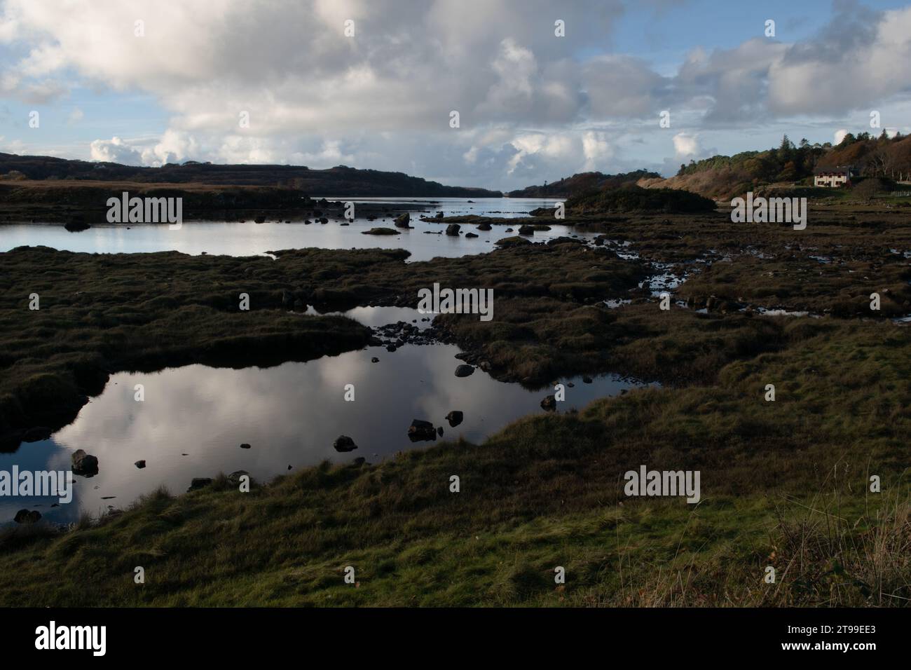 Loch a Chumhainn, Dervaig, Isle of Mull, Scotland, UK Stock Photo - Alamy