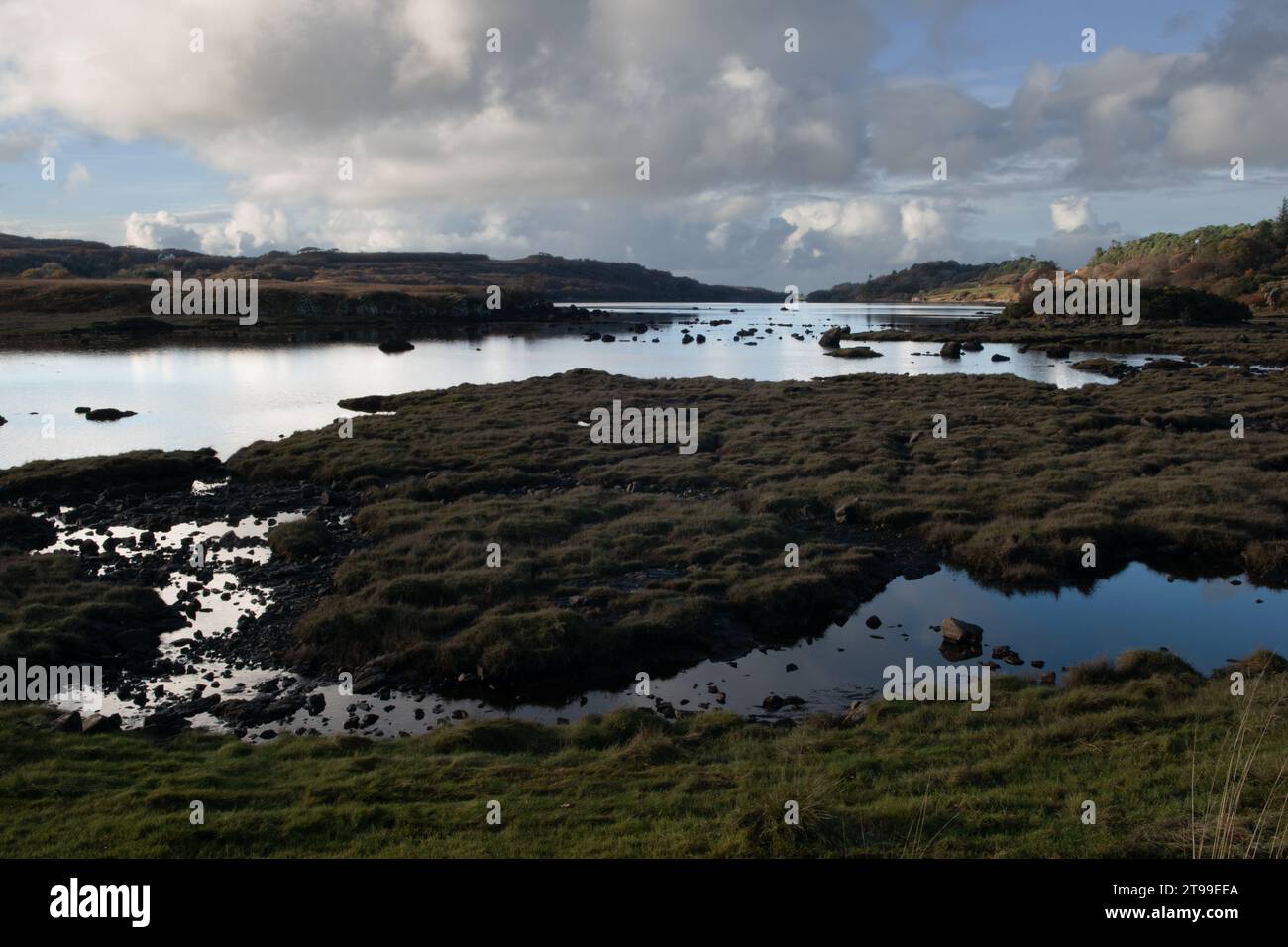 Loch a Chumhainn, Dervaig, Isle of Mull, Scotland, UK Stock Photo - Alamy