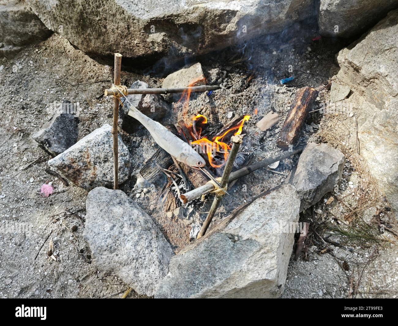 cooking fish on wood campfire around the seaside near the rock Stock ...