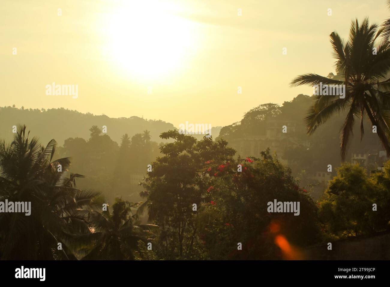 Magical light at the jungles in Kandy, Sri Lanka in the early morning ...