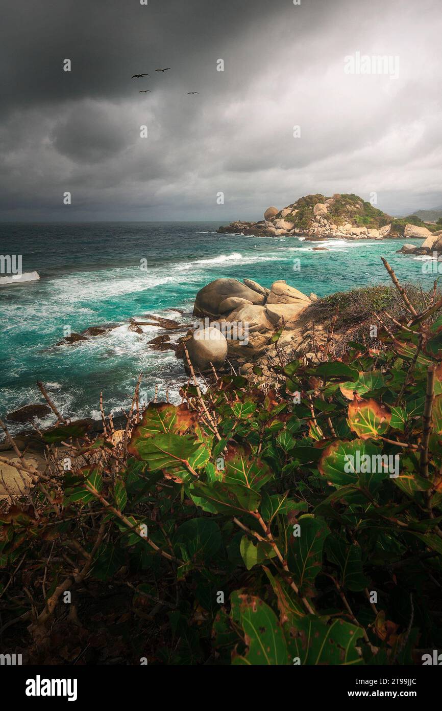 The colors of diversity in Colombia Stock Photo - Alamy